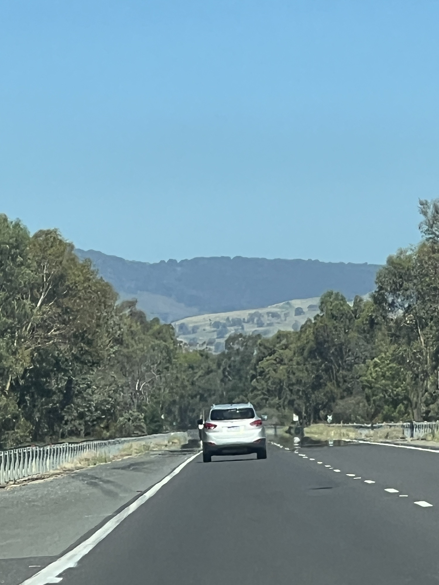 Mt. Wombat, a hike celebrating three years of living in Victoria ...