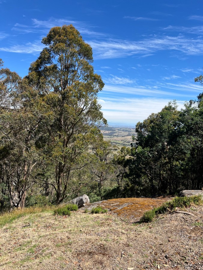 Mt. Wombat, a hike celebrating three years of living in Victoria ...